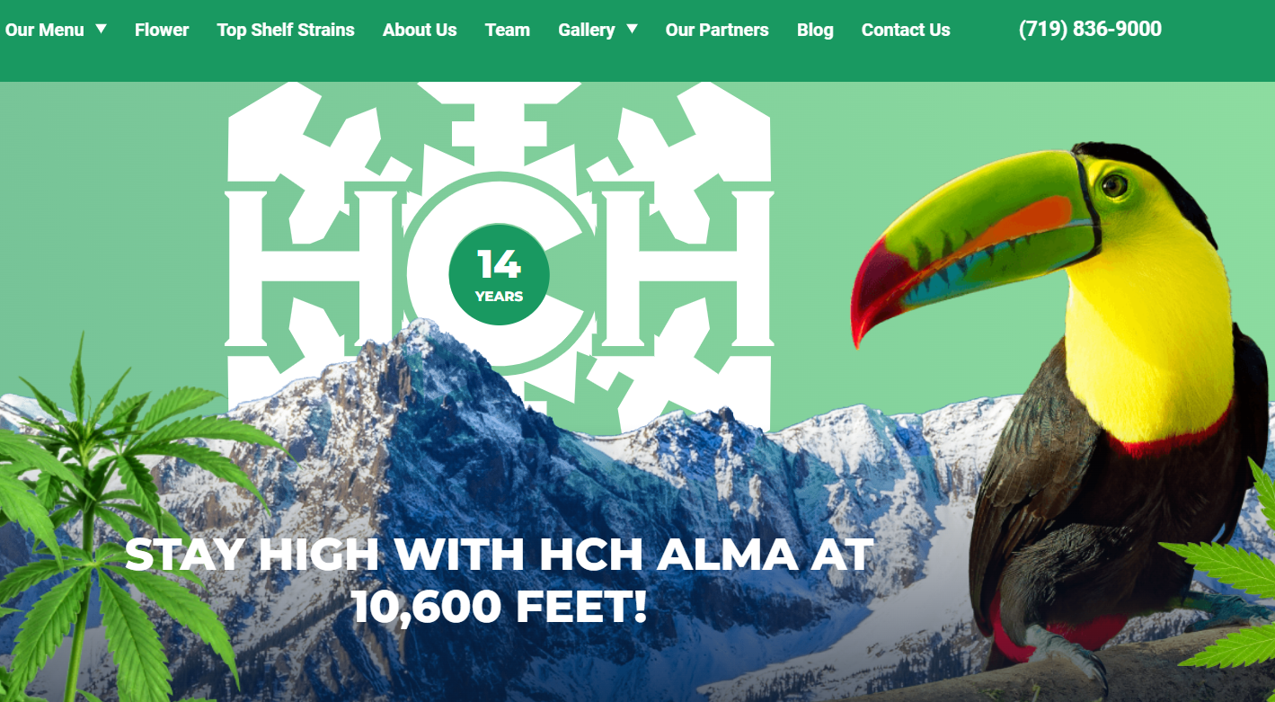 Website Launch News | Blog Articles: Stay Tuned with HCH Alma Dispensary
